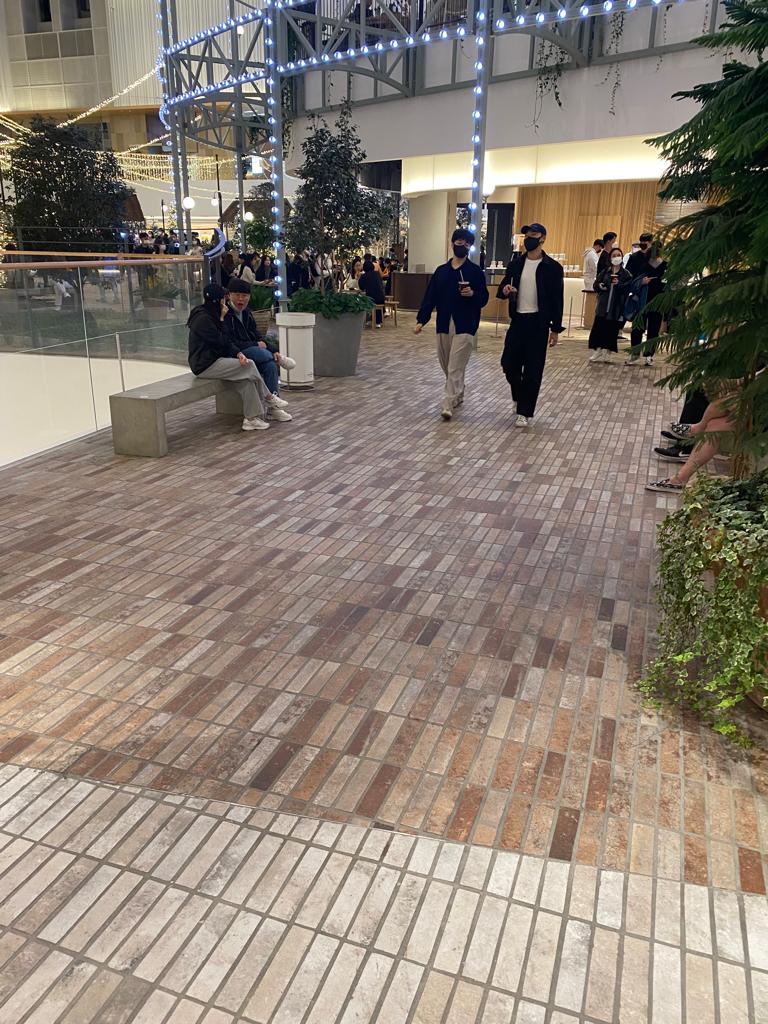 Hyundai Store: architectural project